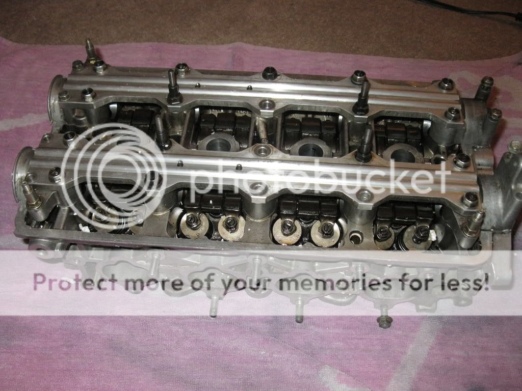 b16 head? | Team Integra Forums