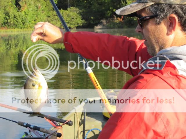 Fluvanna Ruritan Lake delivers a few quality fish