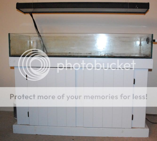 Custom Frag Tank & Stand for sale!! | Reef2Reef