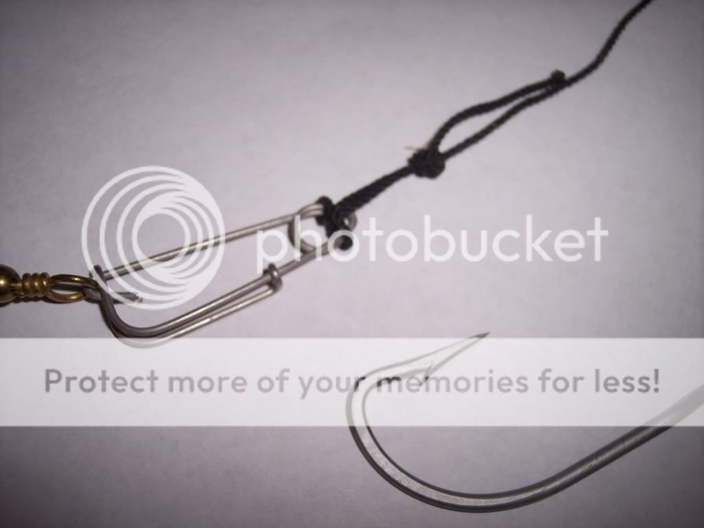 How To set up a trotline using clips | Catfish Angler Forum at USCA